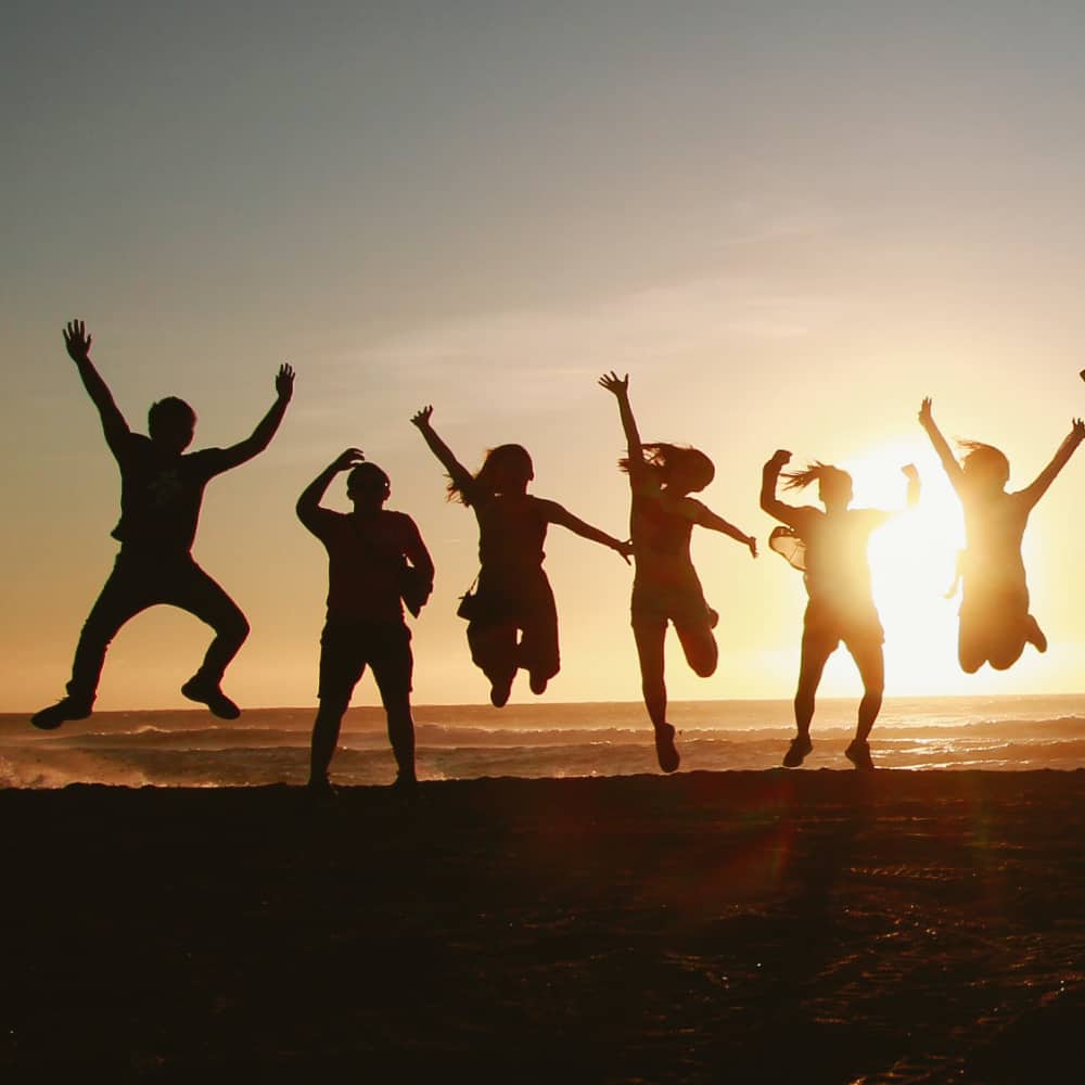 About Us - Ivo Grees